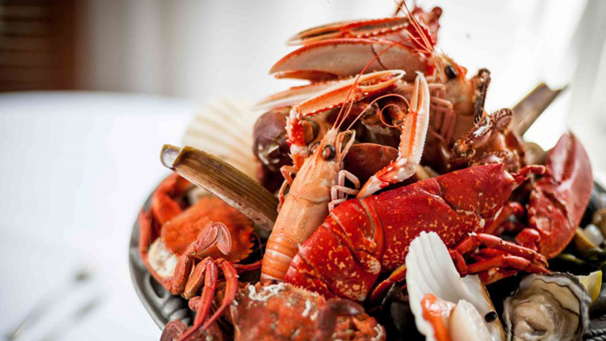 Our Guide to Padstow - Rohrs and Rowe